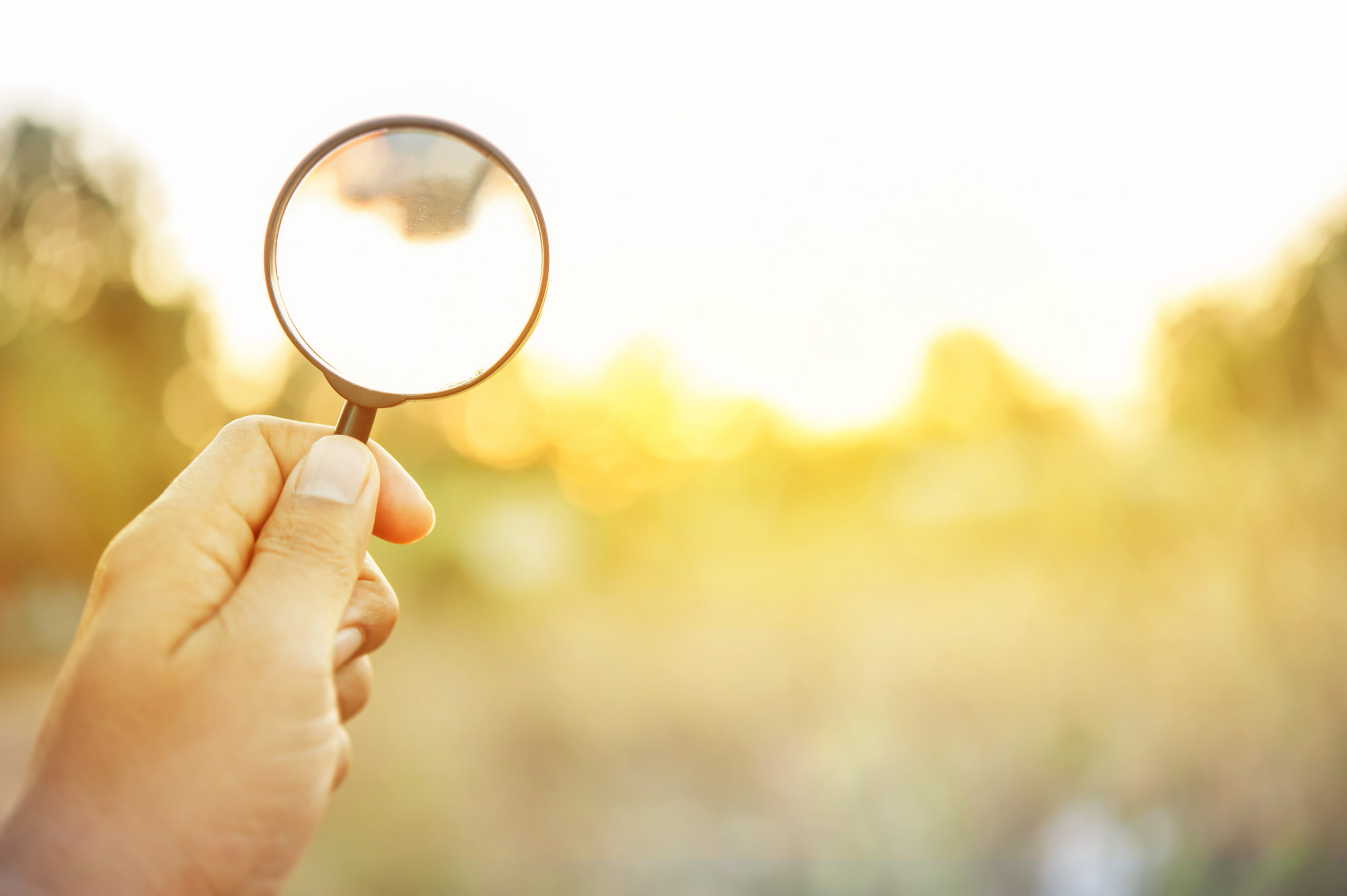 Free 25 Minute Discovery Session - Revive by Janna